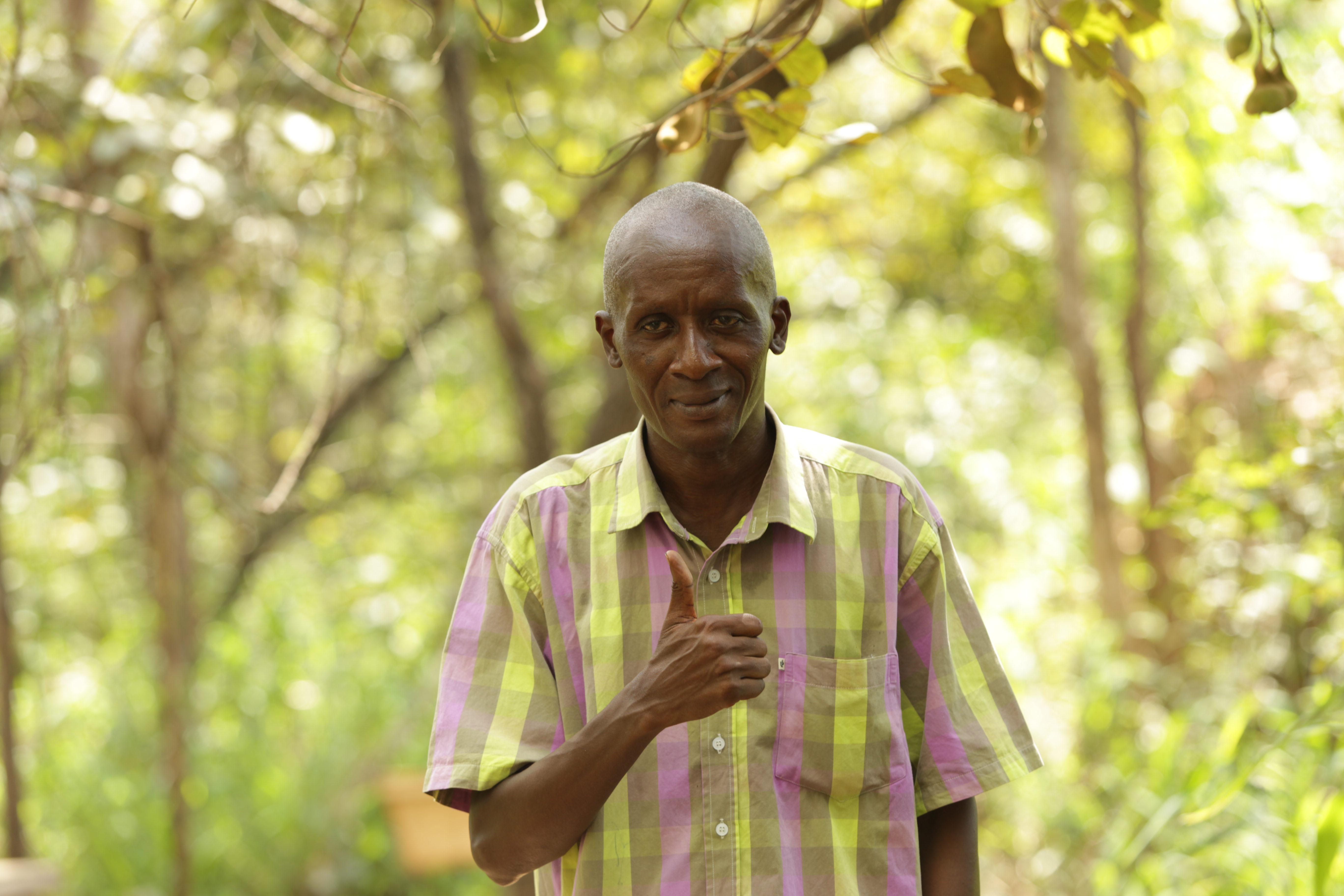 Success Story Ghana: Alpha Apiaries | WIDU