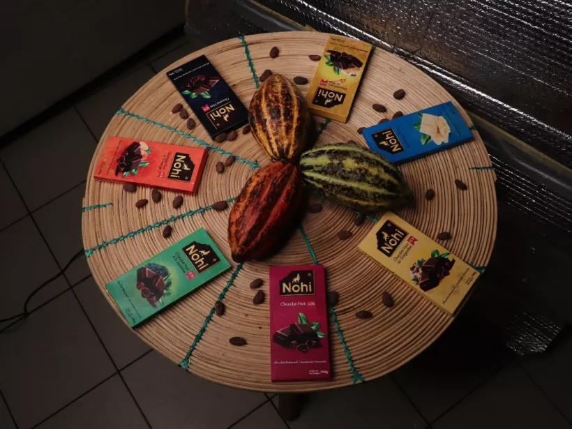 Nohi’s Chocolate is 100 % Cameroon – Thanks to Private Investment by ...